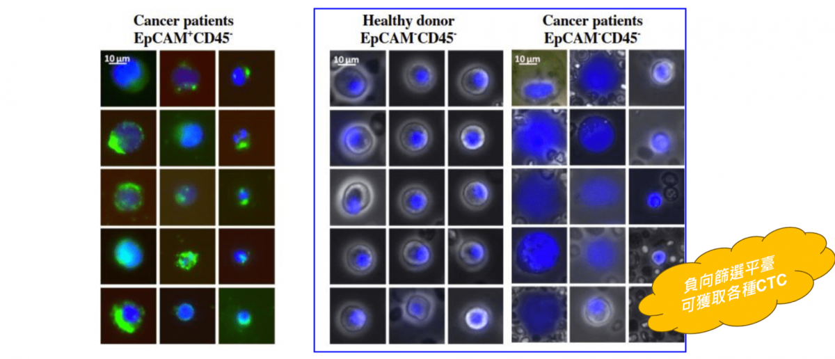 腫瘤 | 芮森醫學診所 Renaissance Medical